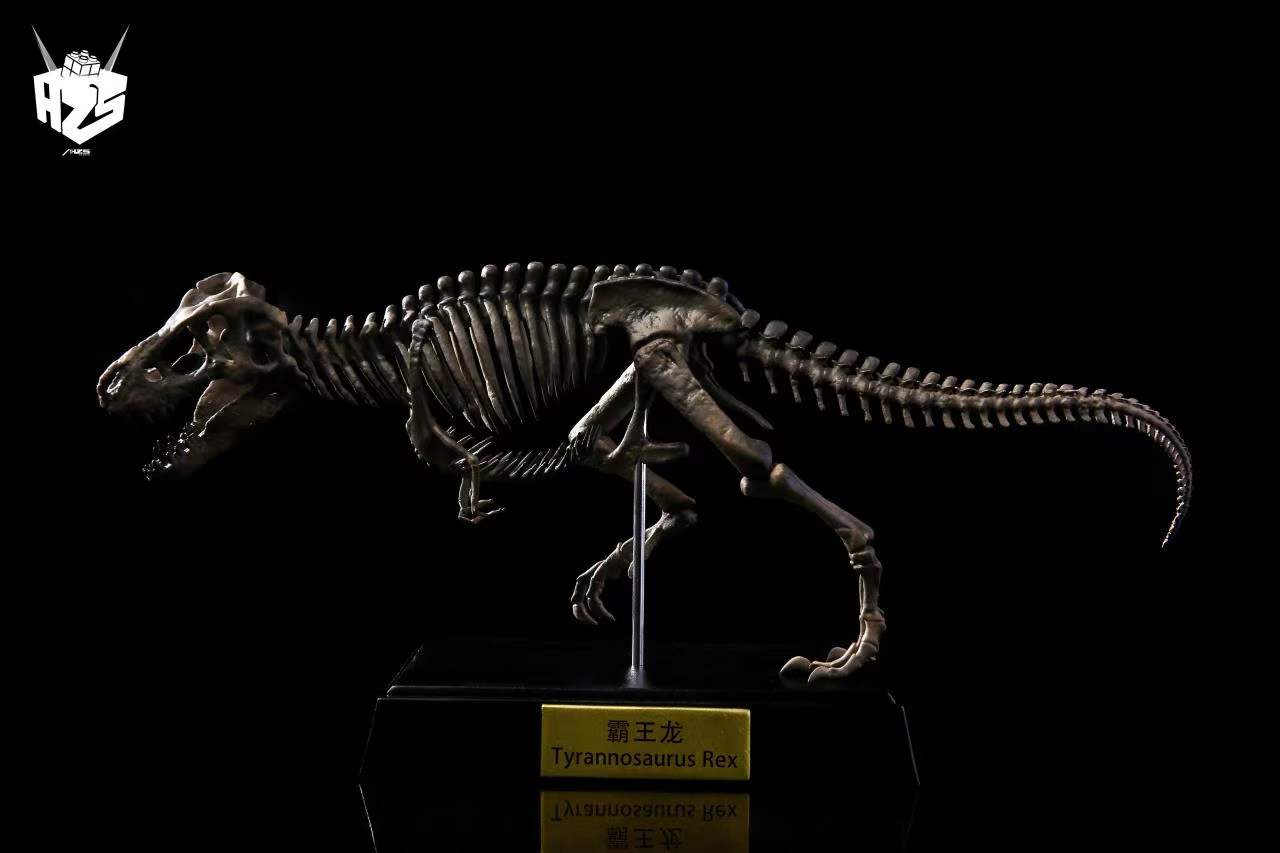 Hzs Studio Dinosaur Fossil Tyrannosaurus Rex Resin Statue - Devilness Toys